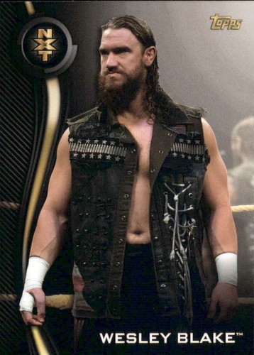 2019 Topps WWE NXT Roster #48 Wesley Blake - WS | eBay