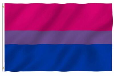 New Bi Pride Flag Bisexual Banner Gay Lesbian LGBT 3x5 Rainbow Festival ...