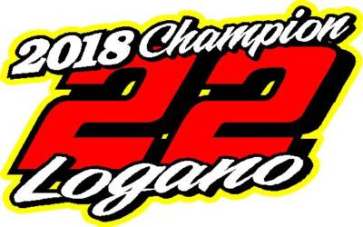 22 Joey Logano 2018 Nascar Cup Champion vinyl window decal sticker | eBay