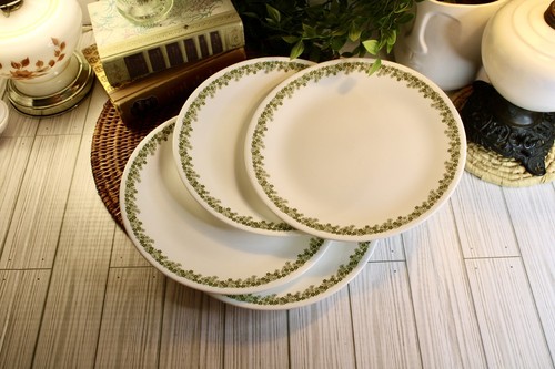 Corelle SPRING BLOSSOM CRAZY DAISY Green Flowers 4 plate Set dinnerware ...