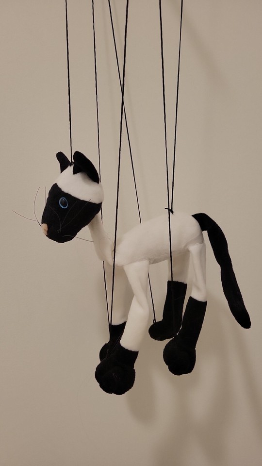 Siamese Marionette Kitten Cat 8.5" Tall, white with black "points ...