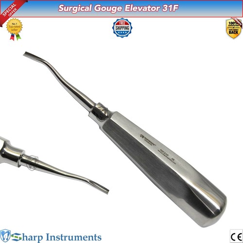 31F Friedman Gouge Elevator Periodontal Ligament Ease Extraction Surgical | eBay