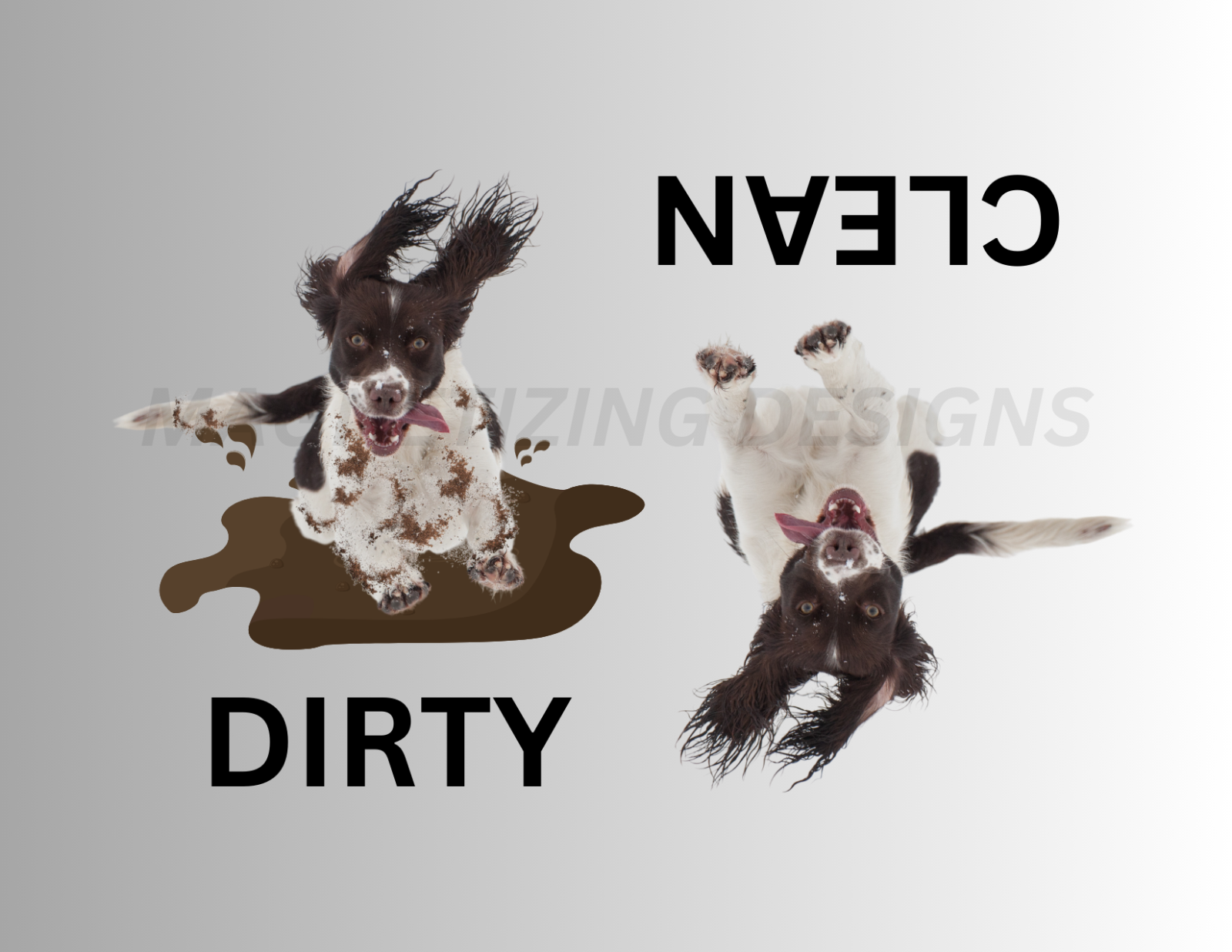 ENGLISH SPRINGER SPANIEL Clean Dirty Dishwasher Flexible Magnet | eBay