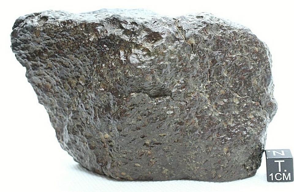 NEA 018 LL3 Primitive Chondrite Meteorite Rare, Type 3 Meteorite 691 ...