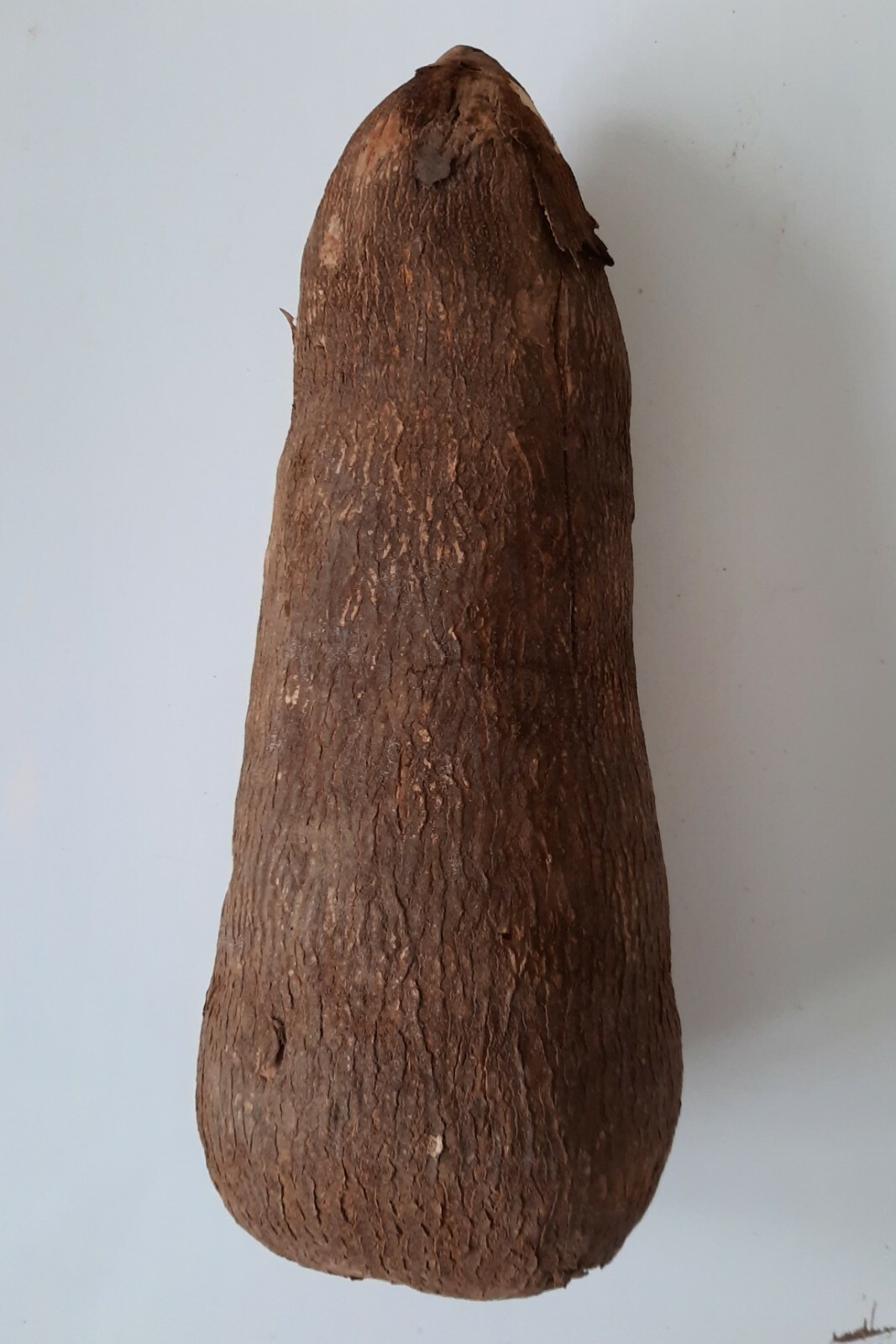 Yam Puna Fresh 1 piece 1 -2kg | eBay