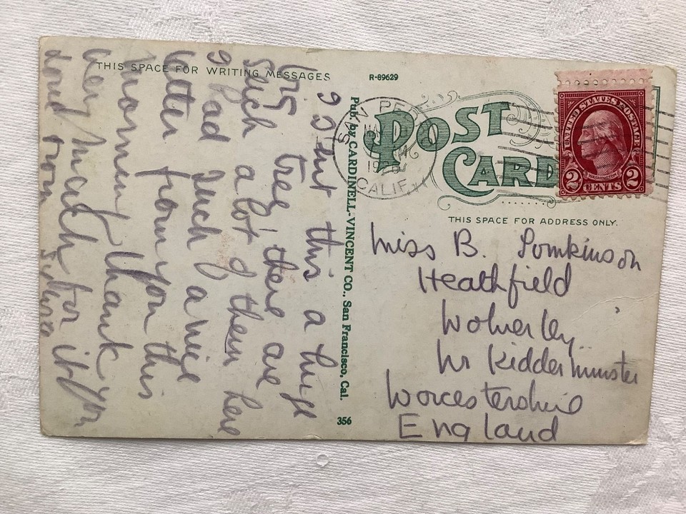 In the Mariposa Big Tree Grove, Yosemite National Park California ...