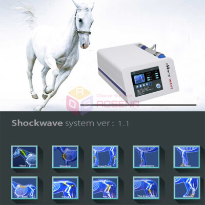 Horse Animals Veterinaria Shockwave Therapy Machine Equine Veterinary ...