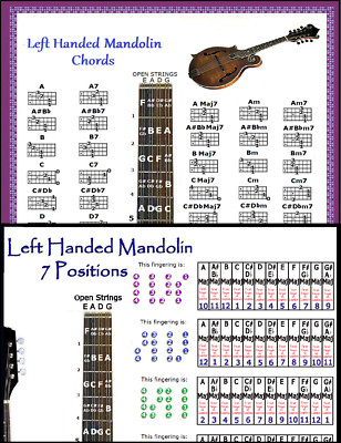 LEFT HANDED MANDOLIN CHORDS & 7 POSITION SLIDE RULE CHARTS - 2 ...