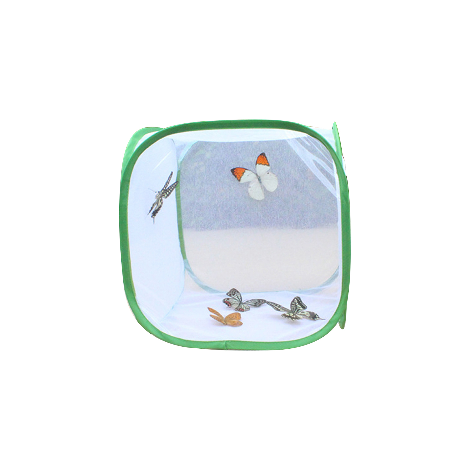 Habitat Net Reusable Collapsible Observation Plant Small Animal Cage ...