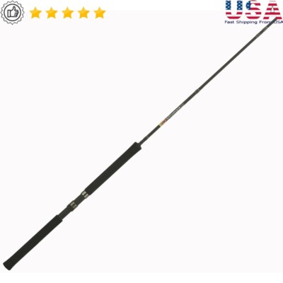 10ft Graphite Jig Fishing Pole Lightweight Crappie Rod W/ EVA Handle ...