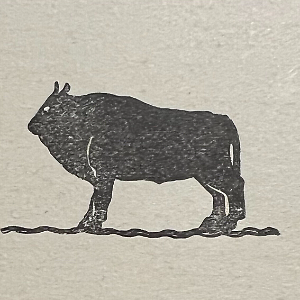 Re-Libri | eBay Stores