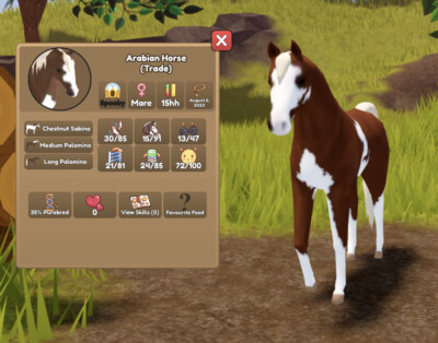 Wild Horse Islands Roblox Rare Arabian Horse Chestnut Sabino Coat | eBay