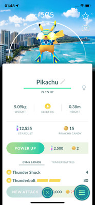 Pokemon Snorkel Pikachu Honolulu! Same Day Shippment or Next Day ...