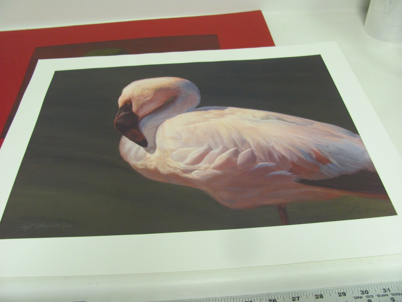 1997 Jeff Gandert Lesser Flamingo Art Print 565/700 Limited Edition | eBay