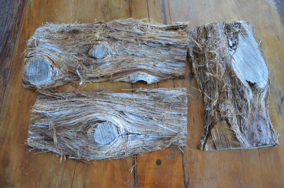 Raw Lumber With Bark