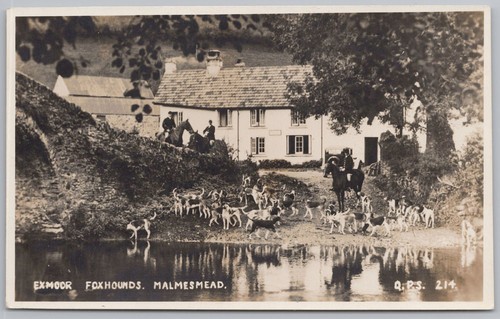 MALMSMEAD Devon The Exmoor Fox Hounds RP Postcard | eBay UK