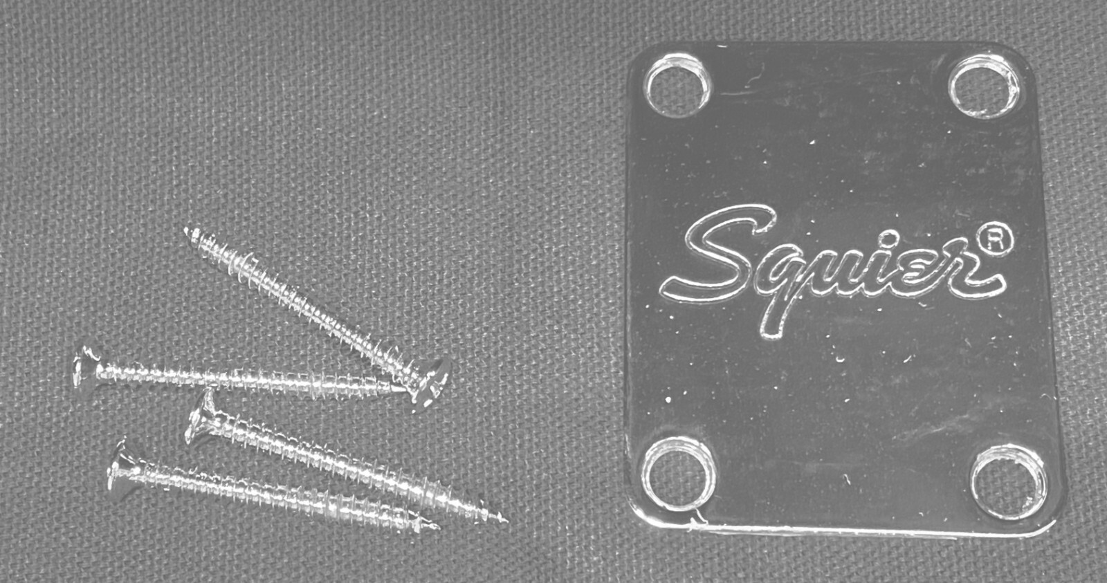 Fender Squier Strat SCRIPT NECK PLATE w/MOUNTING SCREWS Tele ...