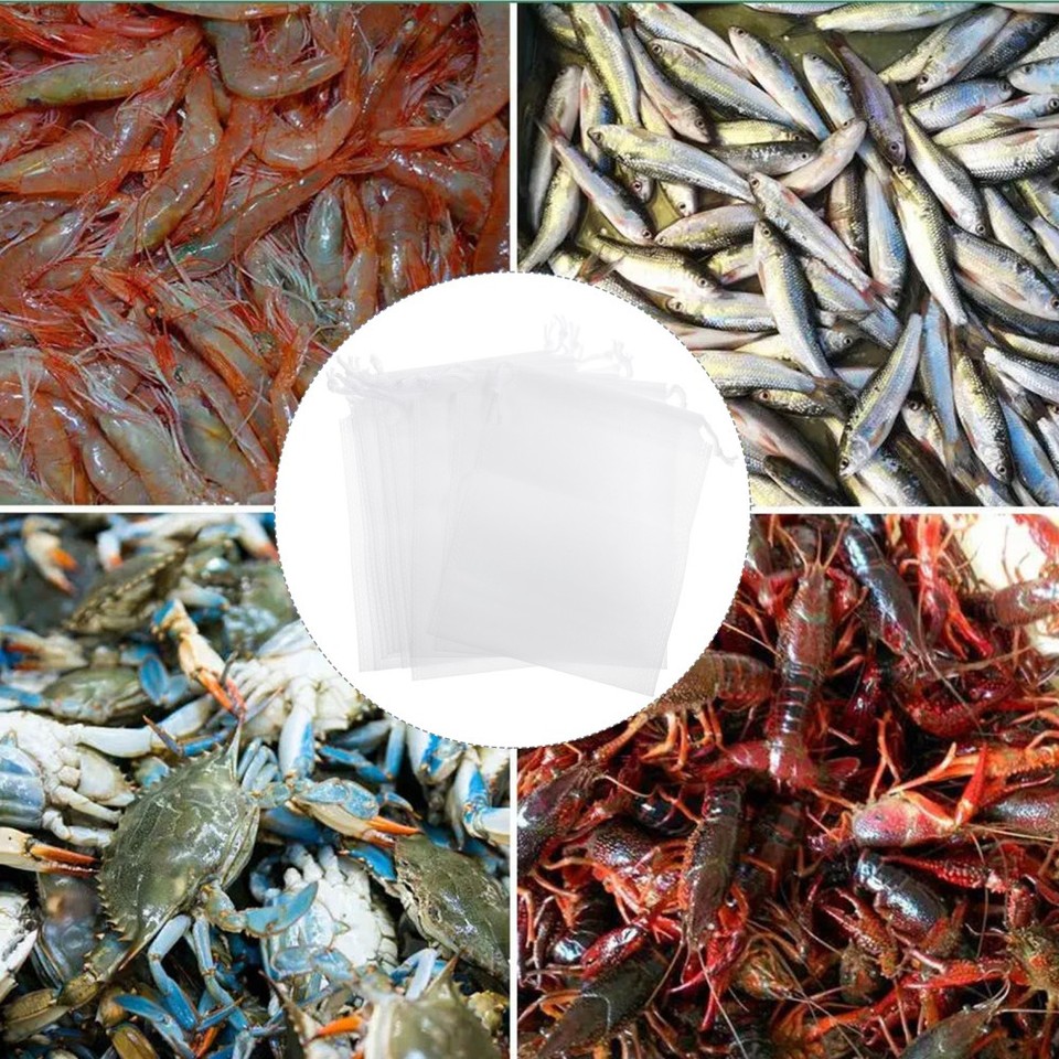 10 Pcs Clam Bag Mesh Fishing Bait Lure Container Fishing Clam Bag | eBay