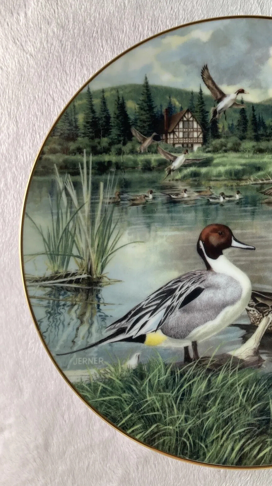 THE PINTAIL Plate Living With Nature: Jerner's Ducks Bart Jerner ...