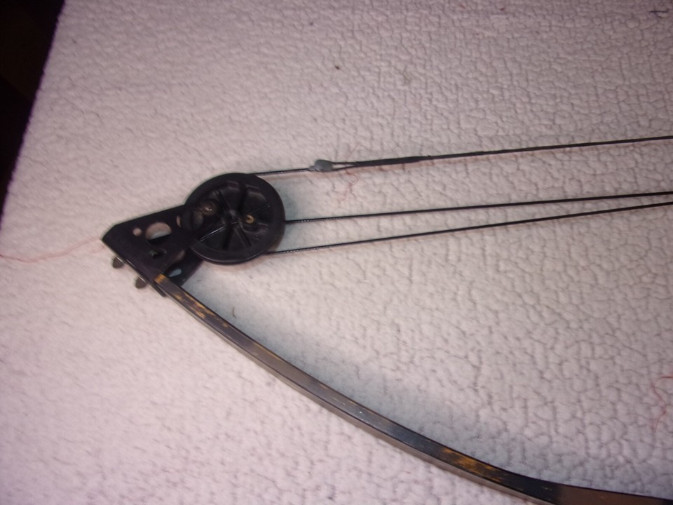 Darton Trail Master Vintage Compound Bow | eBay