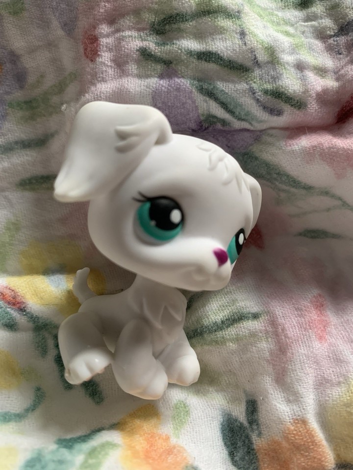 HTF ! White Retriever LPS | eBay