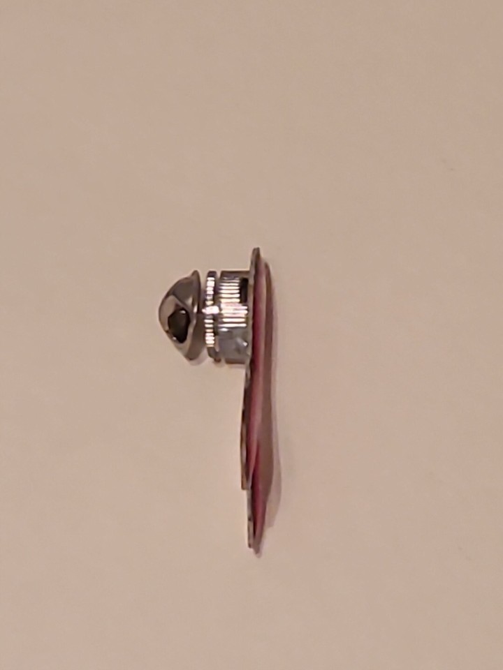 RED RIBBON PIN WITH FLASHING LIGHTS | eBay