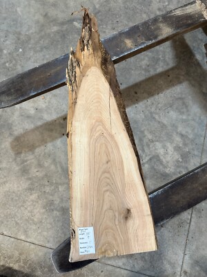 White Ash slab #2519, live edge slab, unfinished, free shipping | eBay