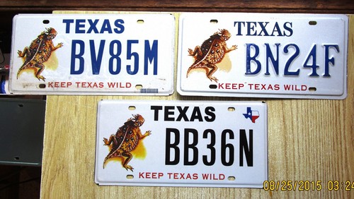 3 TEXAS 2000 WILD LICENSE PLATES - NICE ORIGINAL PAINT - VARIATIONS ...