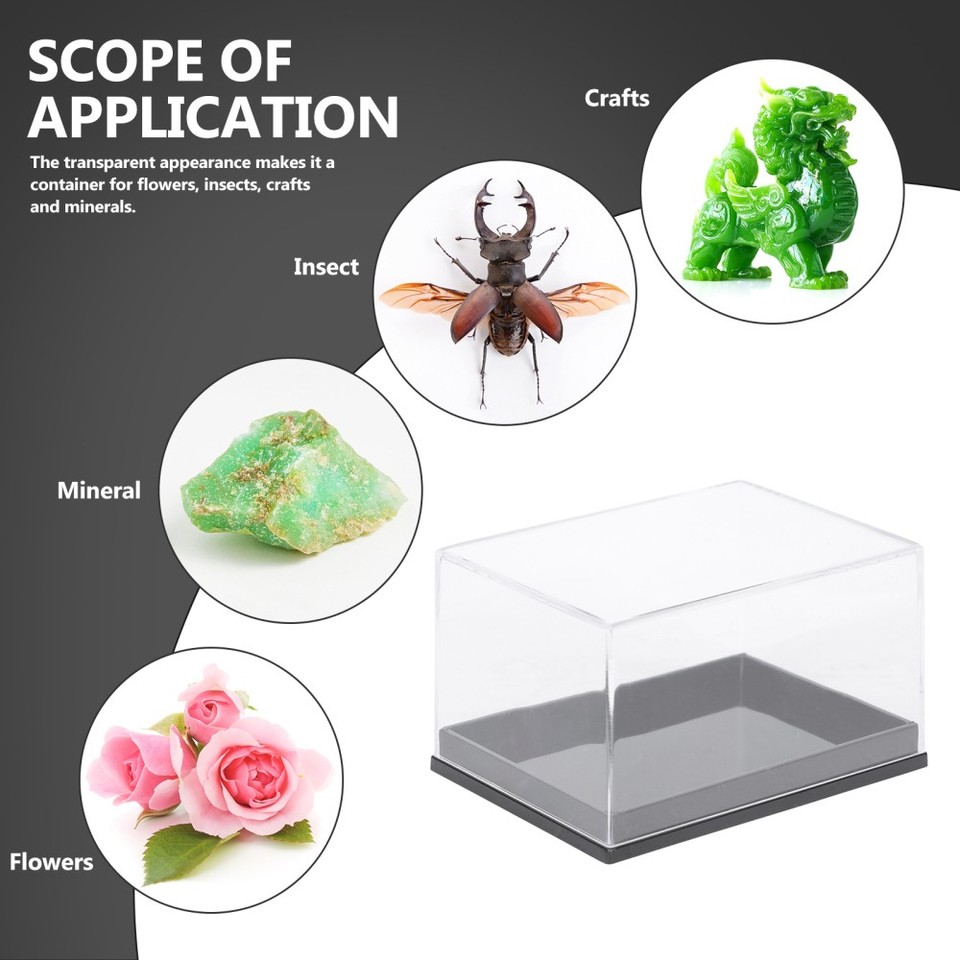 2 PCS Mineral Specimen Display Box Cases Boxes to Store Minerals ...