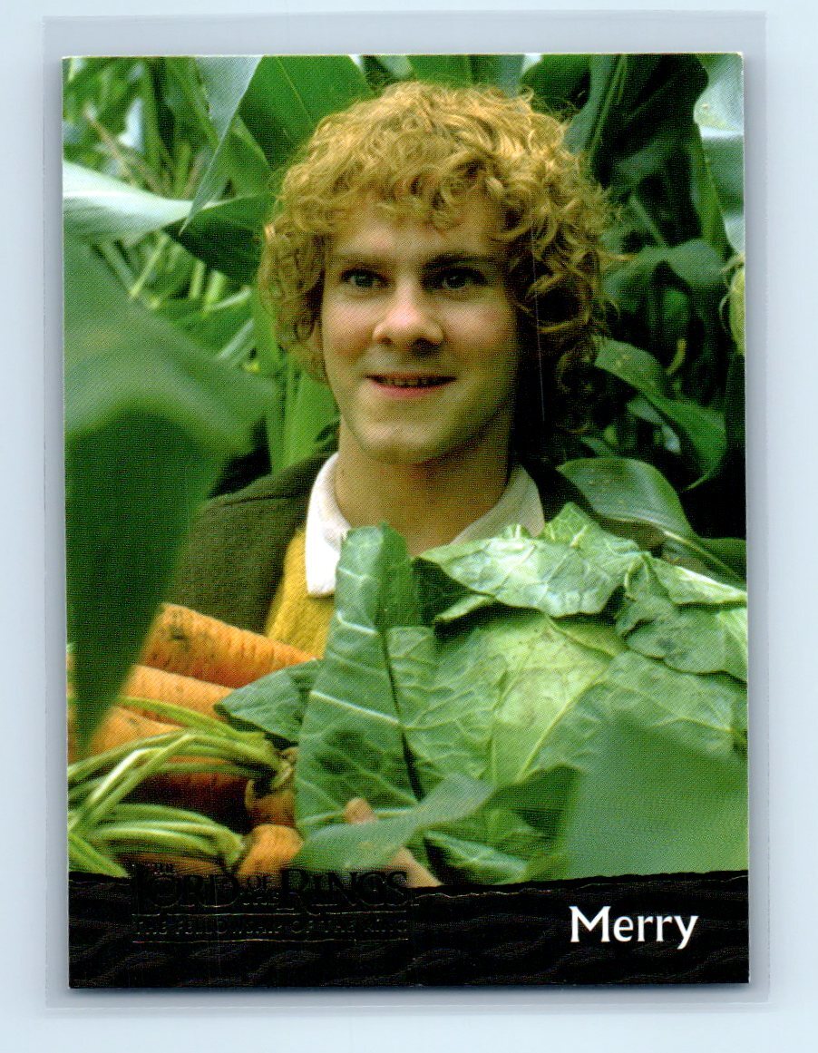 Merry Lord Of The Rings Smile