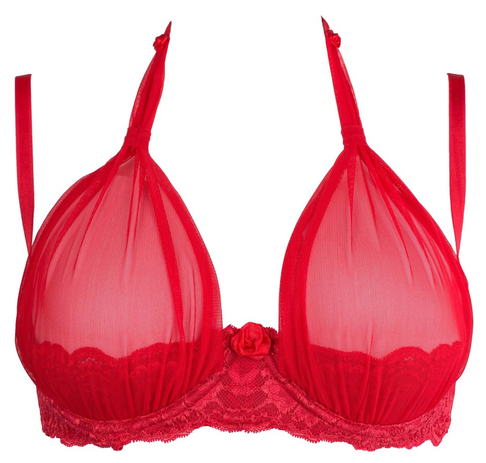 Axami 8761 Cometa Shelf Bra Size Plus Red Lace Sheer Tulle Open Cups | eBay