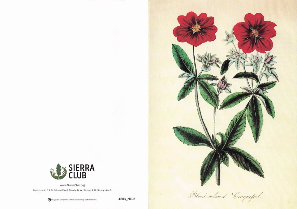 Sierra Club Botanical Note Cards Flowers Vintage Style Nature Art Set ...