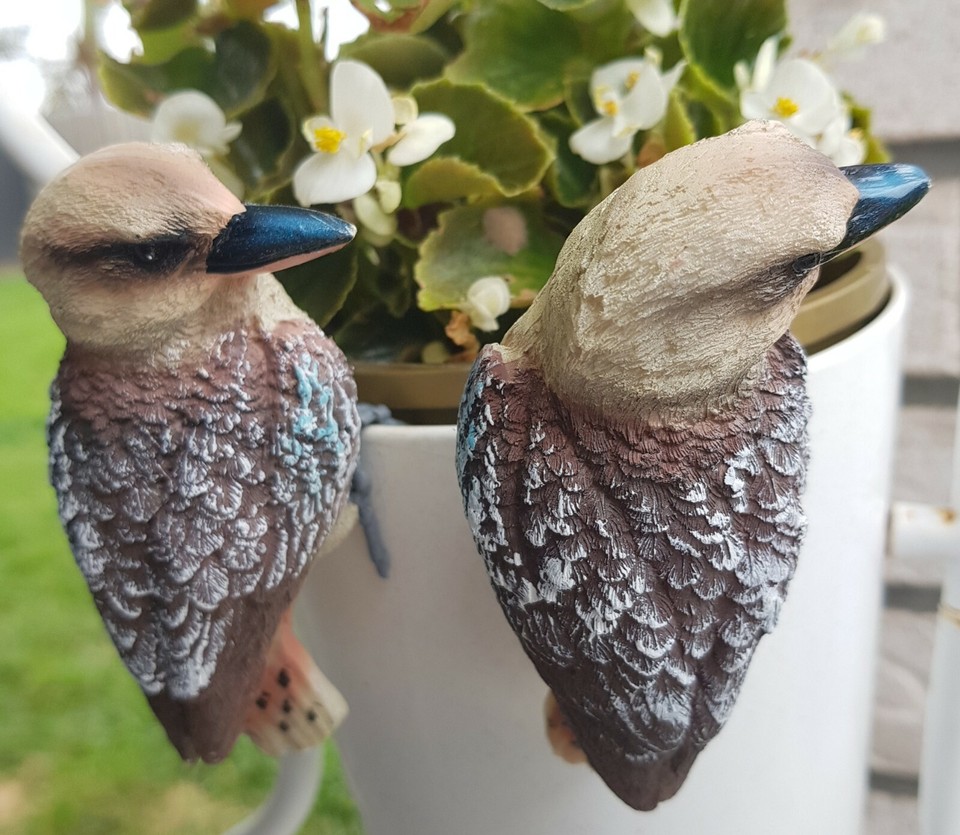 Kookaburra Pot Sitter Australian Bird Statue Ornament Garden Sculpture ...