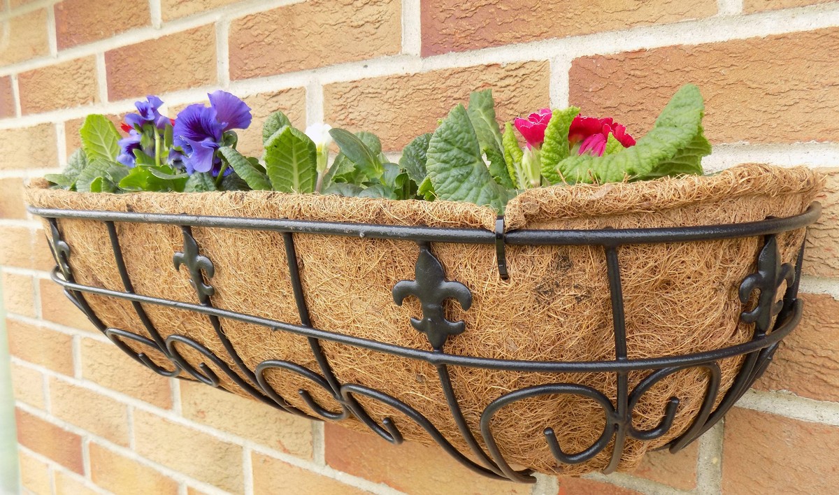 Flower Basket Under Window Window Boxes: Best Flowers, Plants, Care