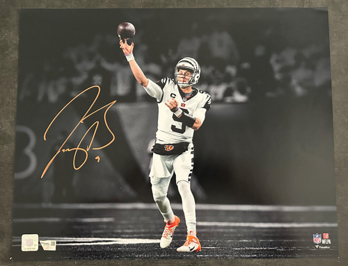 Joe Burrow Signed Autographed 16x20 Bengals Action Photo Fanatics ...