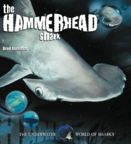 Hammerhead Shark by Brad Burnham (2000, Library Binding) for sale ...