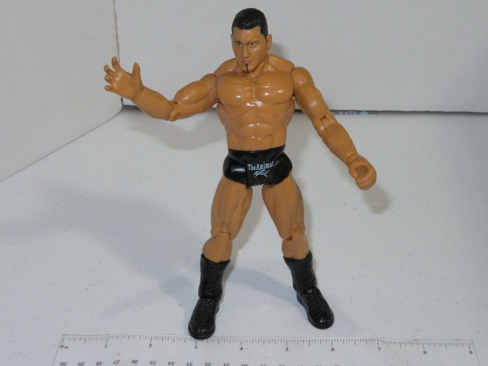 1999 WWF Dave Batista Wrestling The Animal Figure WWE Titan Tron Jakks ...