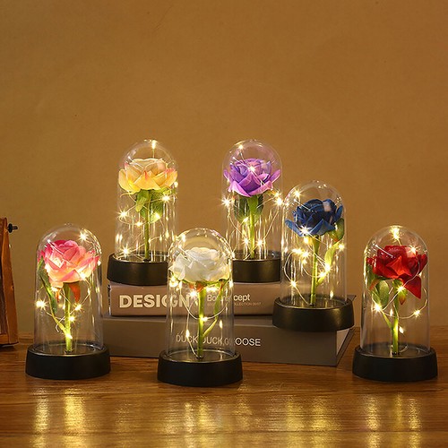Flower Glass Cover Creative Transparent Rose Night Light Base Gift g | eBay