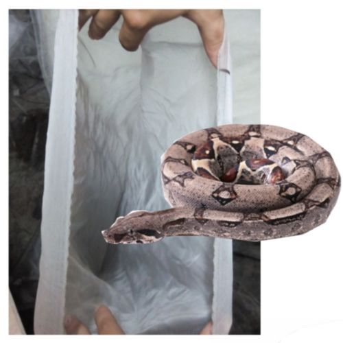 4 Pcs 95x65cm Snake Sack Catching Nylon Bag Protect Reptile Bite 80 ...