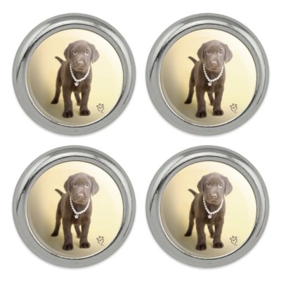 Chocolate Lab Labrador Puppy Dog Crown Metal Craft Sewing Buttons - Set ...