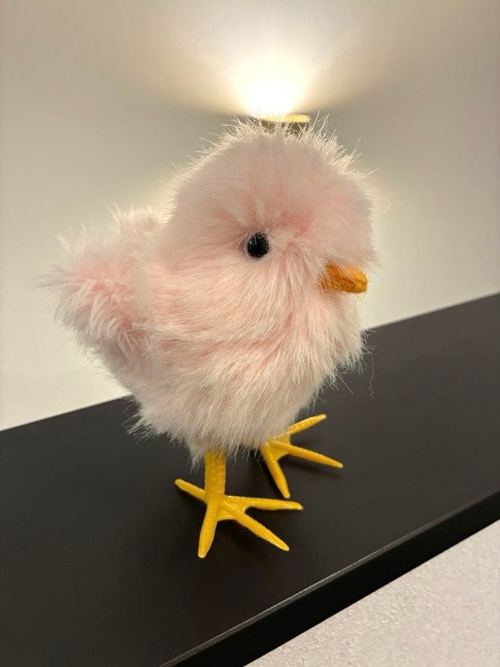 peluche pulcino | eBay