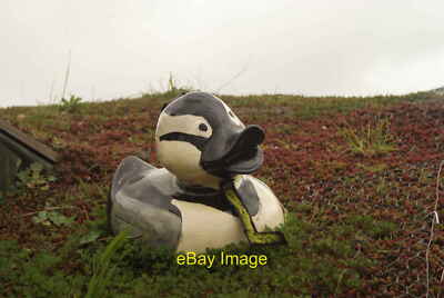 Photo 6x4 View of a fake duck on the roof of a hide in the London ...