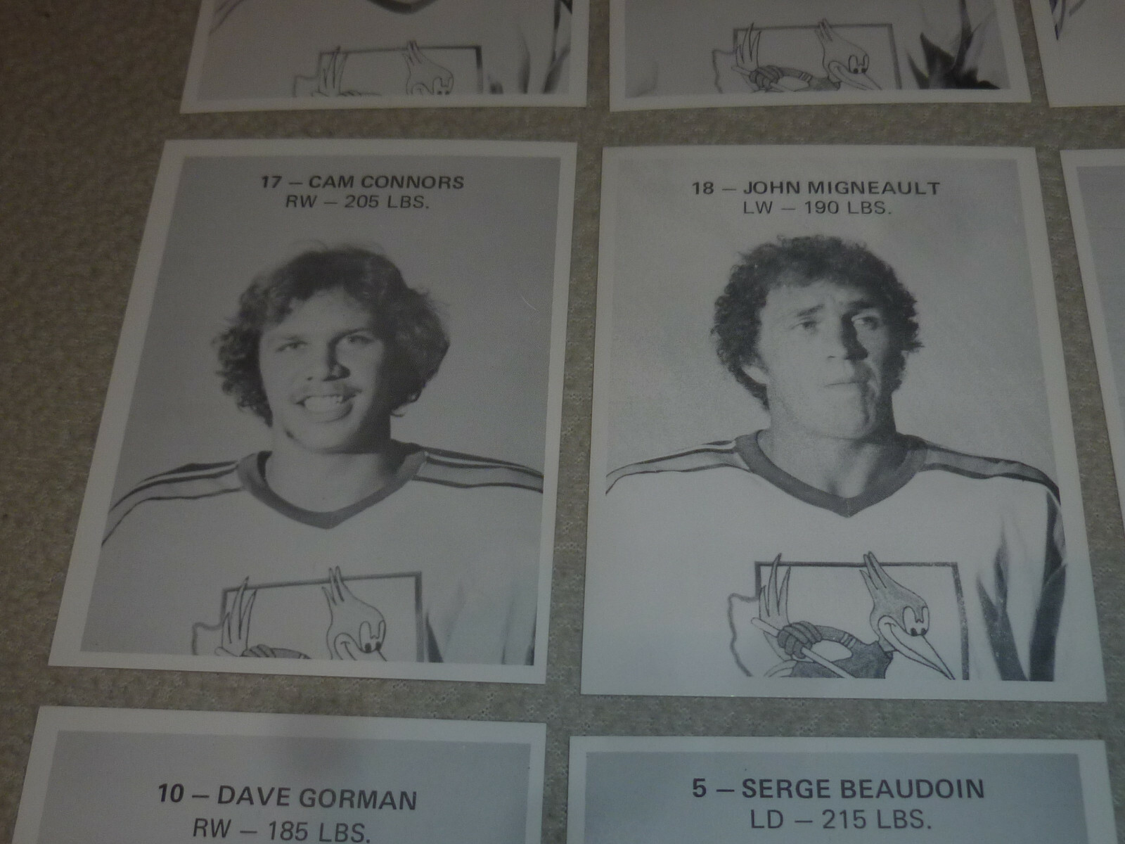 1975-76 WHA PHOENIX ROADRUNNERS TEAM PHOTO SET HOCKEY ROBBIE FTOREK ...