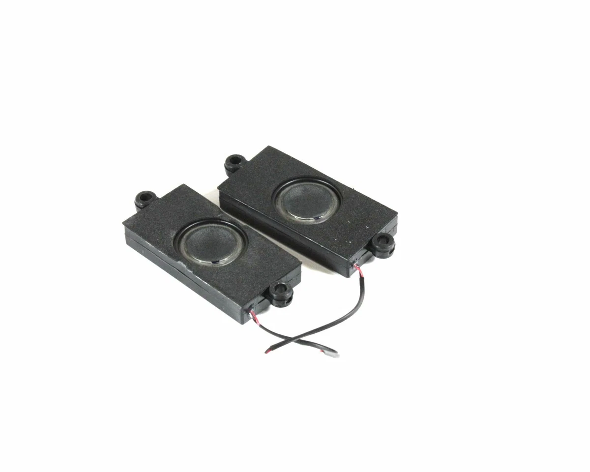 Computer Speaker Internal