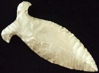 Exceptionally Fine 3 1/2 inch Georgia Simpson Mustache Point with COA ...