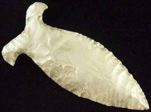 Exceptionally Fine 3 1/2 inch Georgia Simpson Mustache Point with COA ...