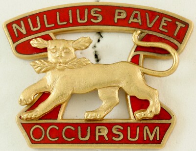 7th ADA Battalion Crest DI/DUI CB | eBay