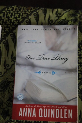 One True Thing by Anna Quindlen (Paperback / softback) 9780812976182 | eBay