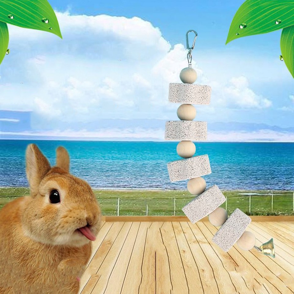 2pcs Funny Hamster Pendant Pet Hanging Playing Toy Hamster Grinding ...