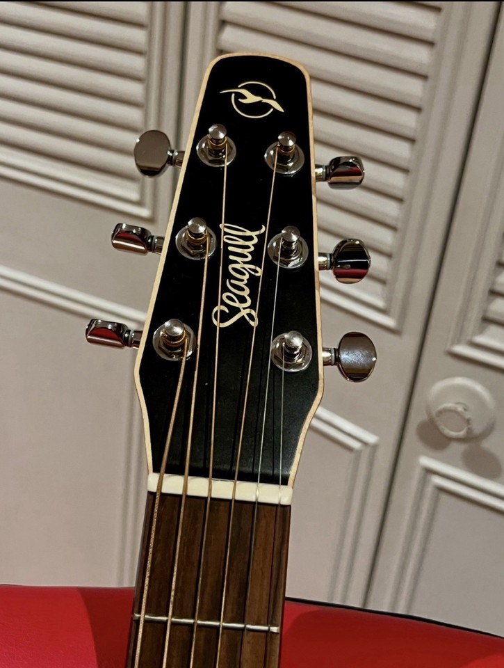 Seagull Entourage Rustic CW QIT, Acoustic Electric Guitar | eBay